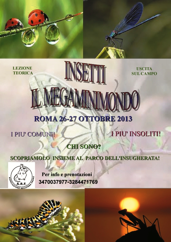 A.R.F. - Associazione Recupero Fauna - PROGRAMMA DEL CORSO GLI INSETTI ...